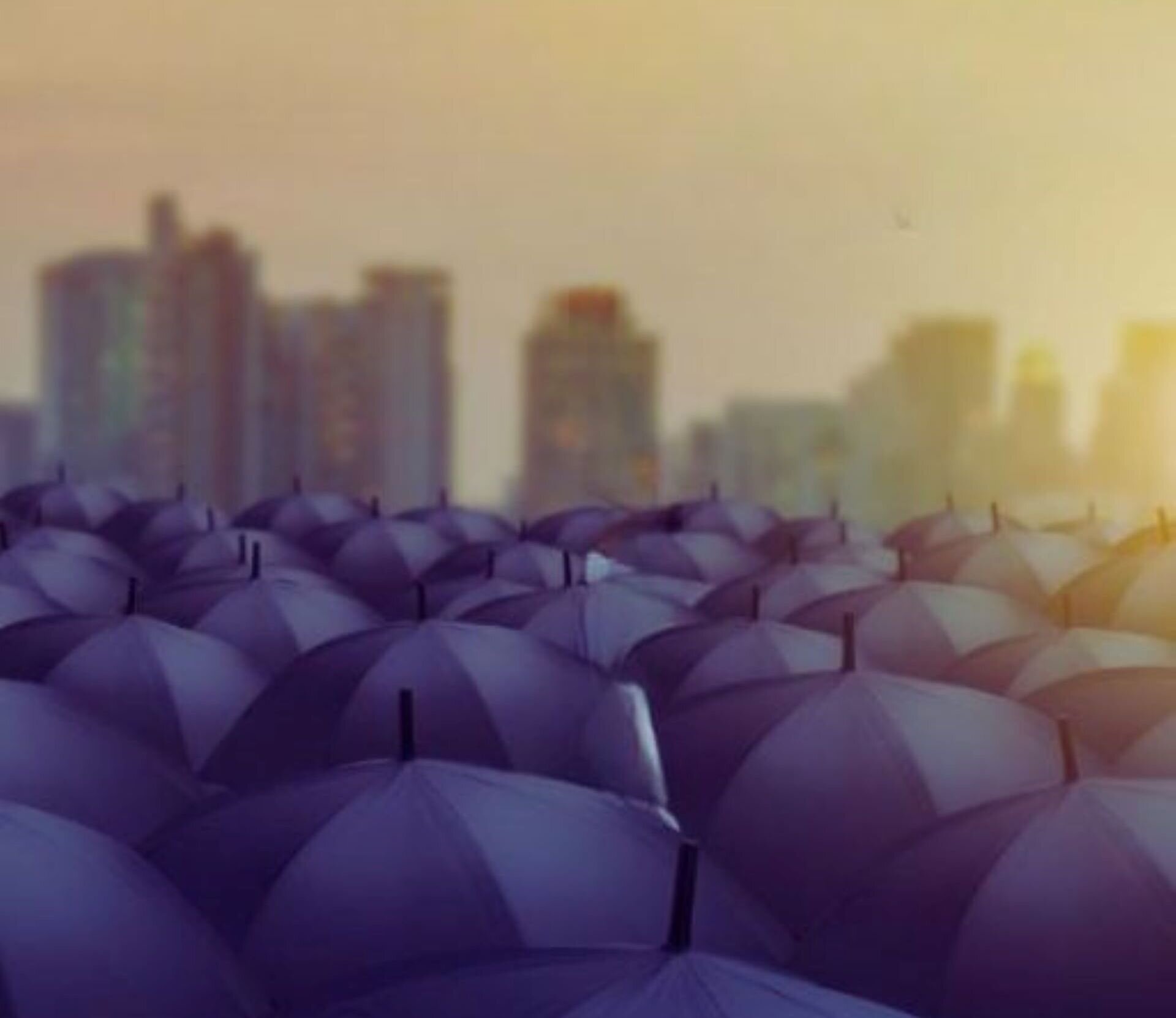 Legacy | MG|Computer, Inc.